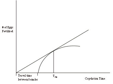 Solutions to Foraging Problems