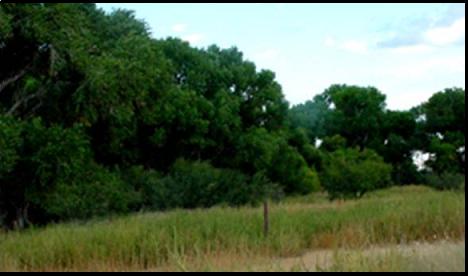 Untitled Document [science.umd.edu]